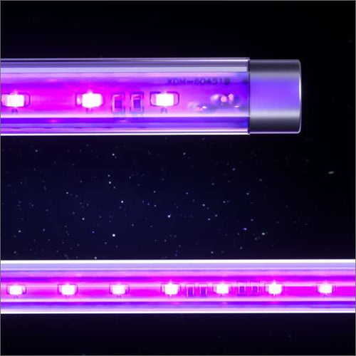 Buzbug | Zapping for a Cozier and Greener Life - Buzbug Official