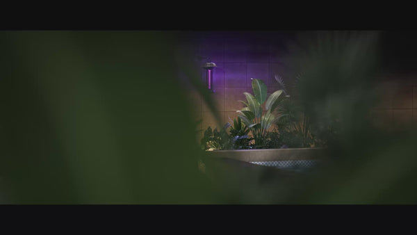 Buzbug MO008C Outdoor LED Bug Zapper